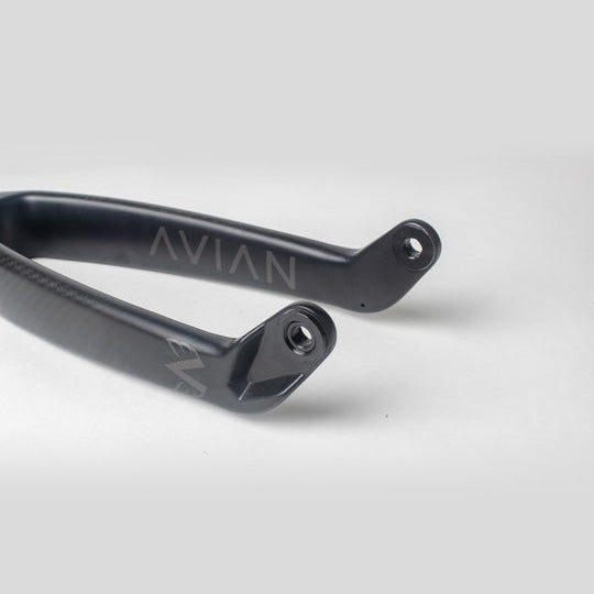 Avian Versus Fork Dropout Adapters-20mm to 10mm-Black – J&R Bicycles, Inc.